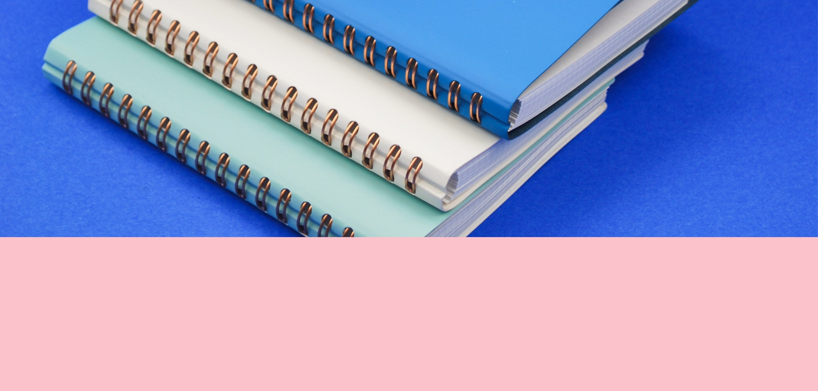 Notebooks – Recess Shop